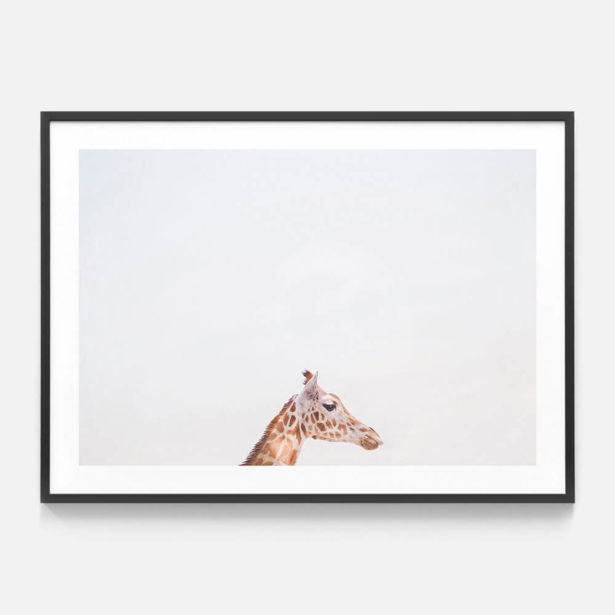 Happy Giraffe | Framed Print or Canvas Wall Art | 41 Orchard