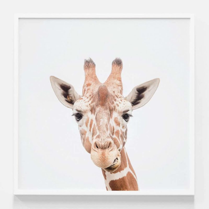 Giraffe | Framed Print or Canvas Wall Art | 41 Orchard
