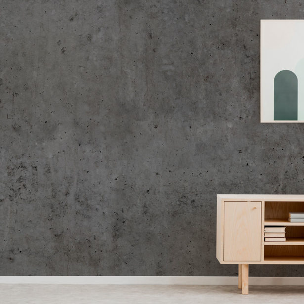 Dark Concrete Wallpaper Mural | 41 Orchard