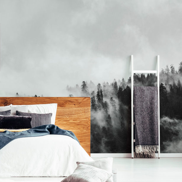 Misty Forest | Photo Wall Mural | 41 Orchard