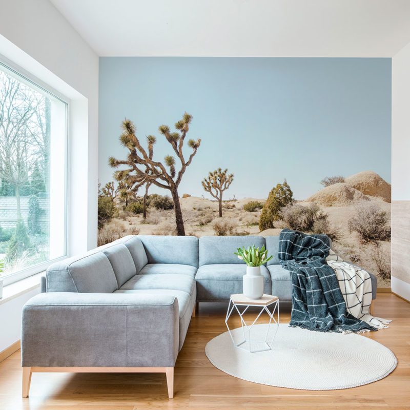Mojave Desert | Photo Wall Mural | 41 Orchard