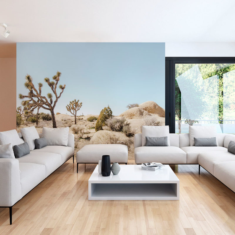 Mojave Desert | Photo Wall Mural | 41 Orchard