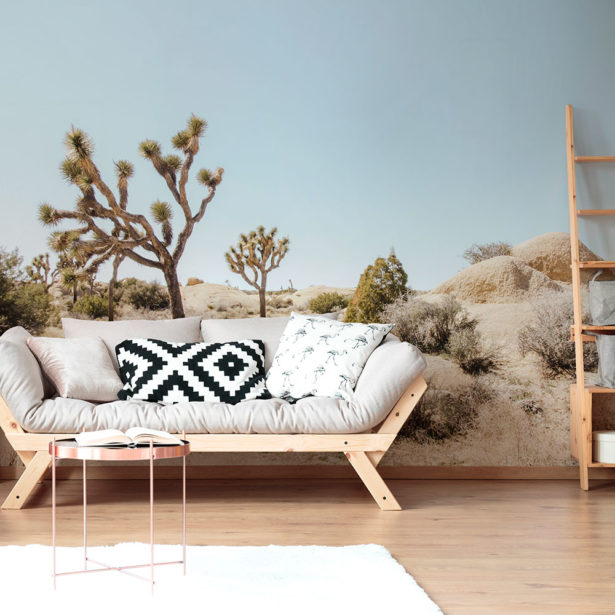 Mojave Desert | Photo Wall Mural | 41 Orchard