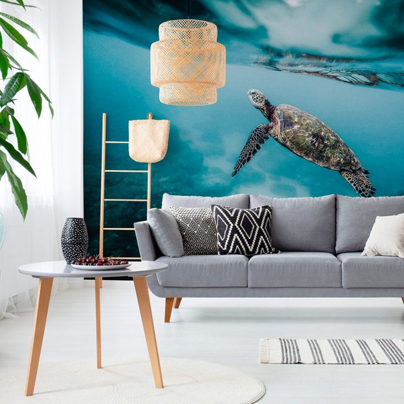 Sea Turtle | Photo Wall Mural | 41 Orchard