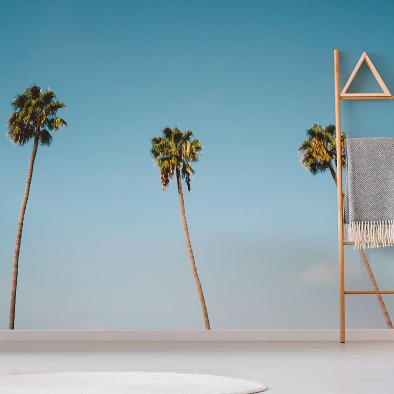 Wall Murals & Photo Wallpaper | Australian Made Great Value | 41 Orchard