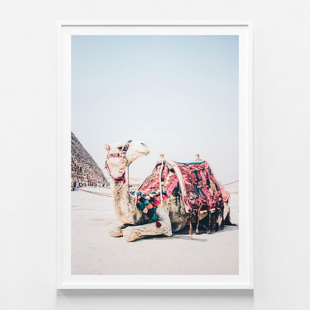 Sitting Pretty | Framed Print or Canvas Wall Art | 41 Orchard