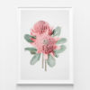 Twin Proteas | Poster, Framed Print or Canvas Wall Art | 41 Orchard