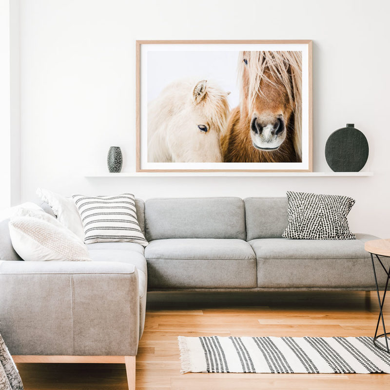 Wild Ponies | Framed Print or Canvas Wall Art | 41 Orchard