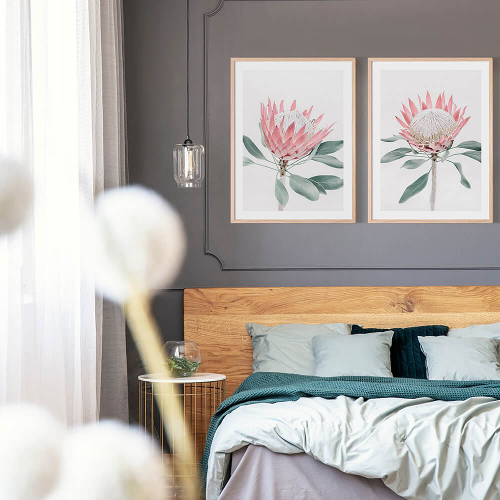 Peach Protea II | Poster, Framed Print or Canvas Wall Art | 41 Orchard