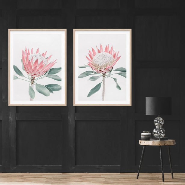 Peach Protea | Poster, Framed Print or Canvas Wall Art | 41 Orchard