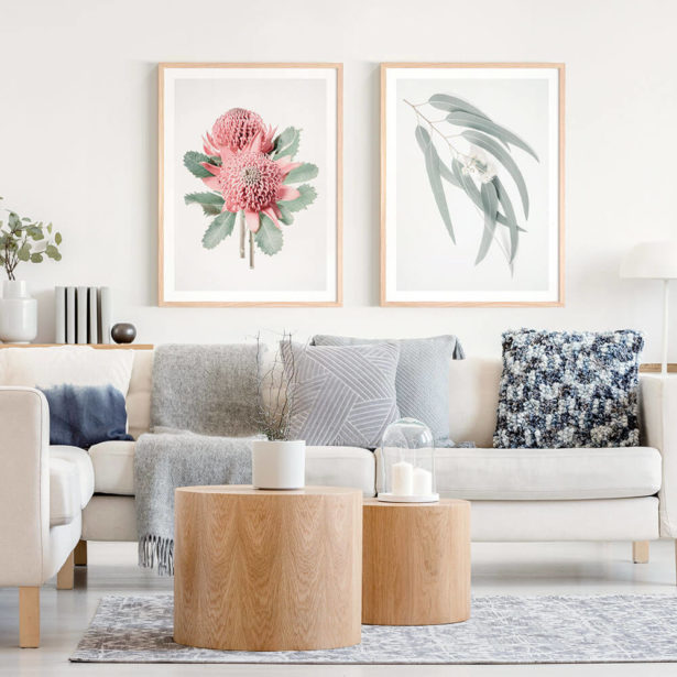 Twin Proteas | Poster, Framed Print or Canvas Wall Art | 41 Orchard