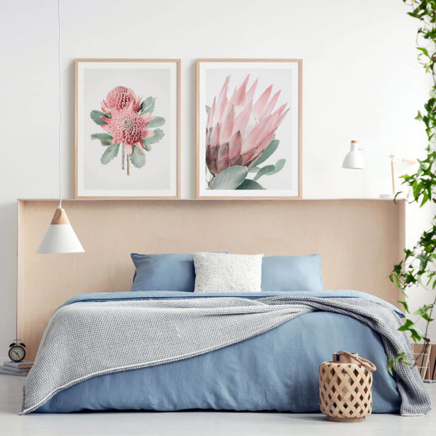 Twin Proteas | Poster, Framed Print or Canvas Wall Art | 41 Orchard