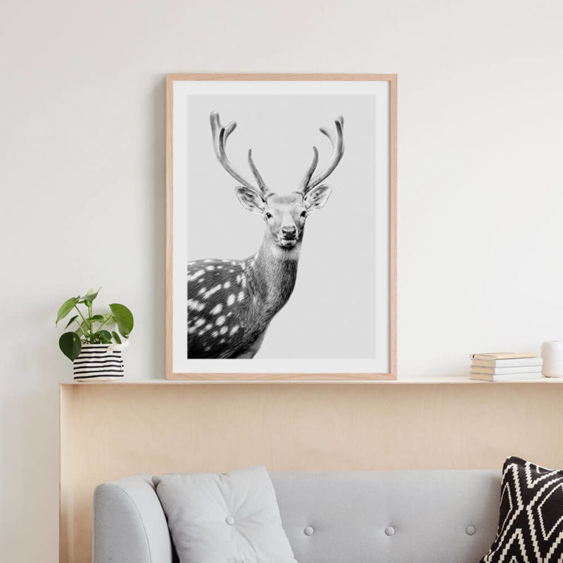 Fallow Deer | Framed Print or Canvas Wall Art | 41 Orchard