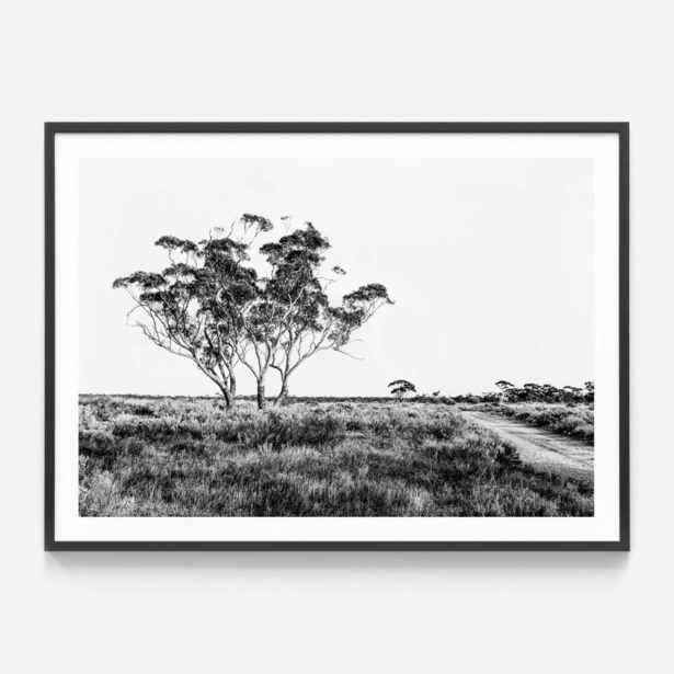Outback Road B&W | Framed Print or Poster Wall Art | 41 Orchard