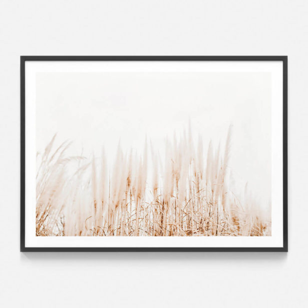 Pampas | Framed Print or Poster Wall Art | 41 Orchard