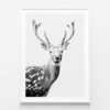 Fallow Deer | Framed Print or Canvas Wall Art | 41 Orchard