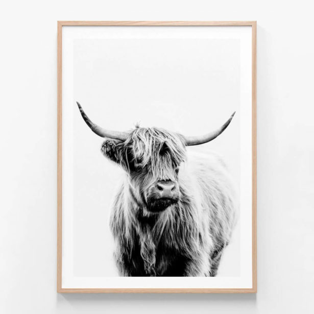 Highland Cow Prints | Shop Wall Art Posters & Framed Prints | 41 Orchard