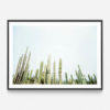 Cactus Print | Framed Print or Canvas Wall Art | 41 Orchard