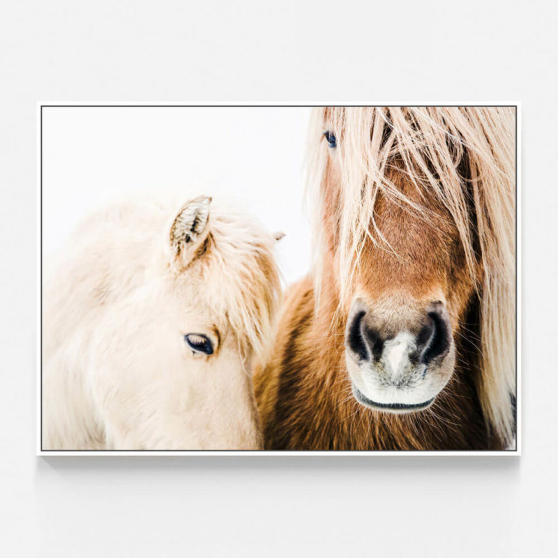 Wild Ponies Canvas Wall Art Print | 41 Orchard