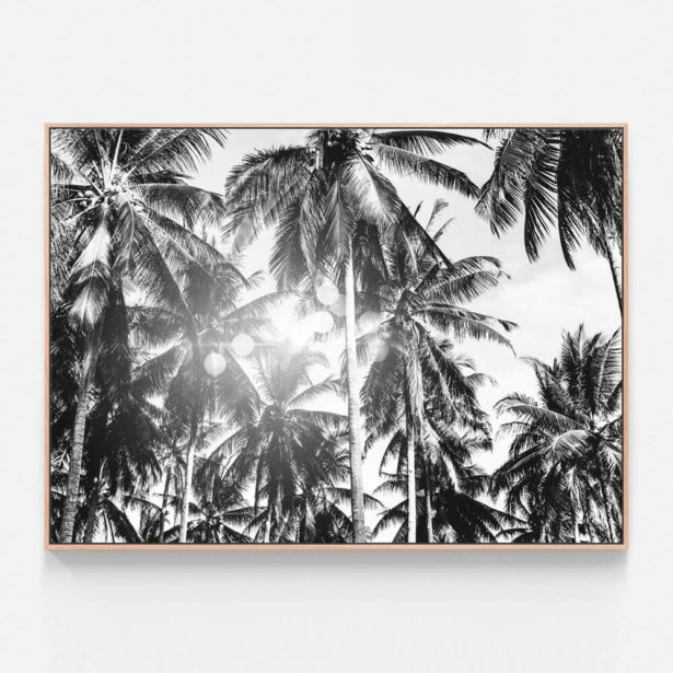 Coconut Sky Canvas Wall Art Print | 41 Orchard