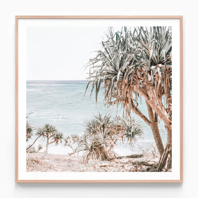 Pandanus Palm | Framed Print or Poster Wall Art | 41 Orchard