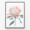 Peach Protea II | Poster, Framed Print or Canvas Wall Art | 41 Orchard