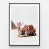 Sitting Pretty | Framed Print or Canvas Wall Art | 41 Orchard