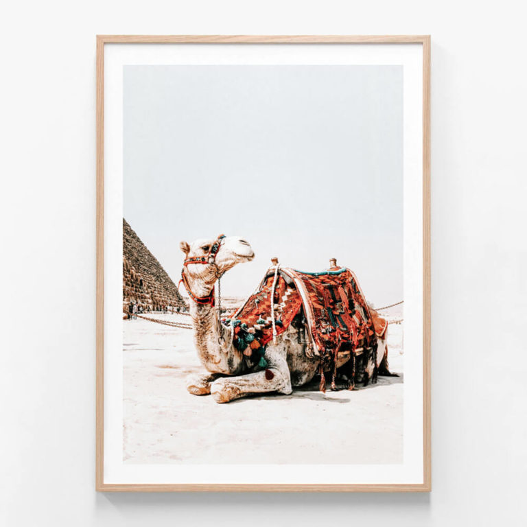 Sitting Pretty | Framed Print or Canvas Wall Art | 41 Orchard