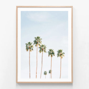 Tropical & Palm Tree Prints | Wall Art Posters & Framed Prints | 41 Orchard