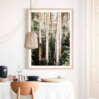 Bush Foliage | Framed Print or Poster Wall Art | 41 Orchard