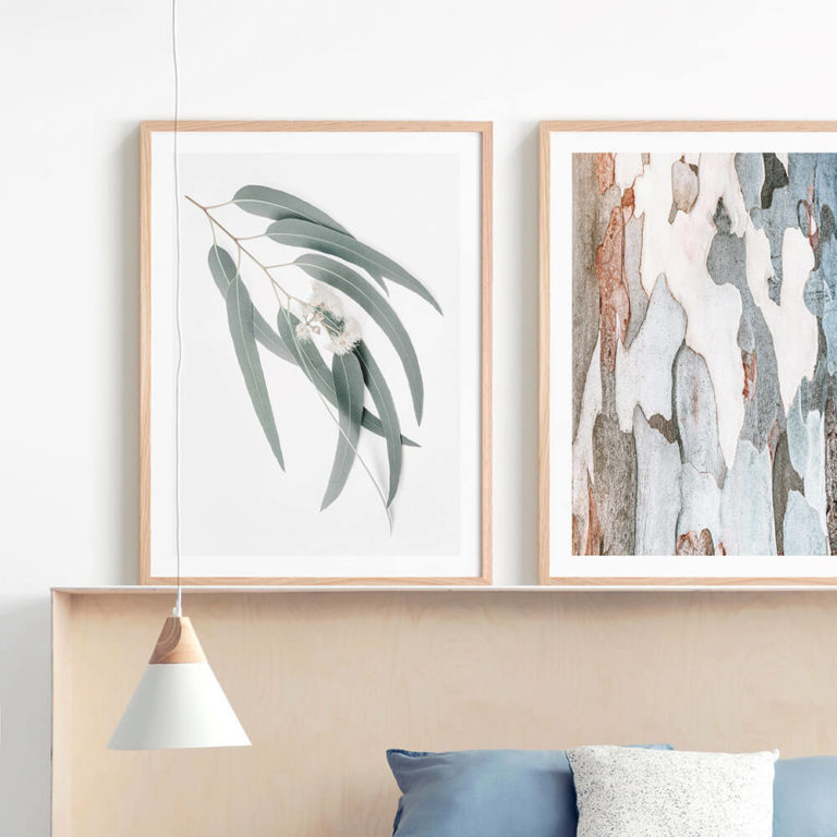 Light Eucalyptus Leaves | Poster, Framed Print or Canvas Wall Art | 41 ...