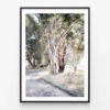 Bush Track | Framed Print or Poster Wall Art | 41 Orchard