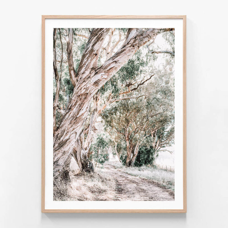 Australian Landscape Photography Wall Art Prints | 41 Orchard