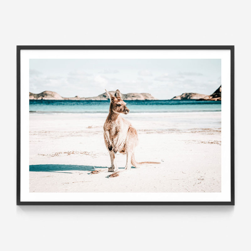 Beach Paws | Framed Print or Poster Wall Art | 41 Orchard