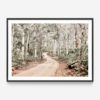 Bush Tracks | Framed Print or Poster Wall Art | 41 Orchard