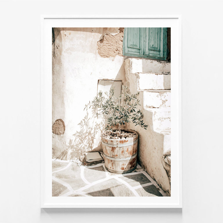 Olive Tree | Framed Print or Poster Wall Art | 41 Orchard