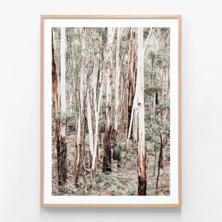 Australian Landscape Photography Wall Art Prints | 41 Orchard
