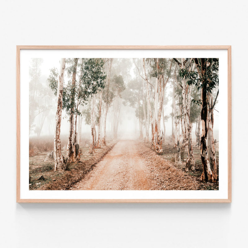 Australian Landscape Photography Wall Art Prints | 41 Orchard